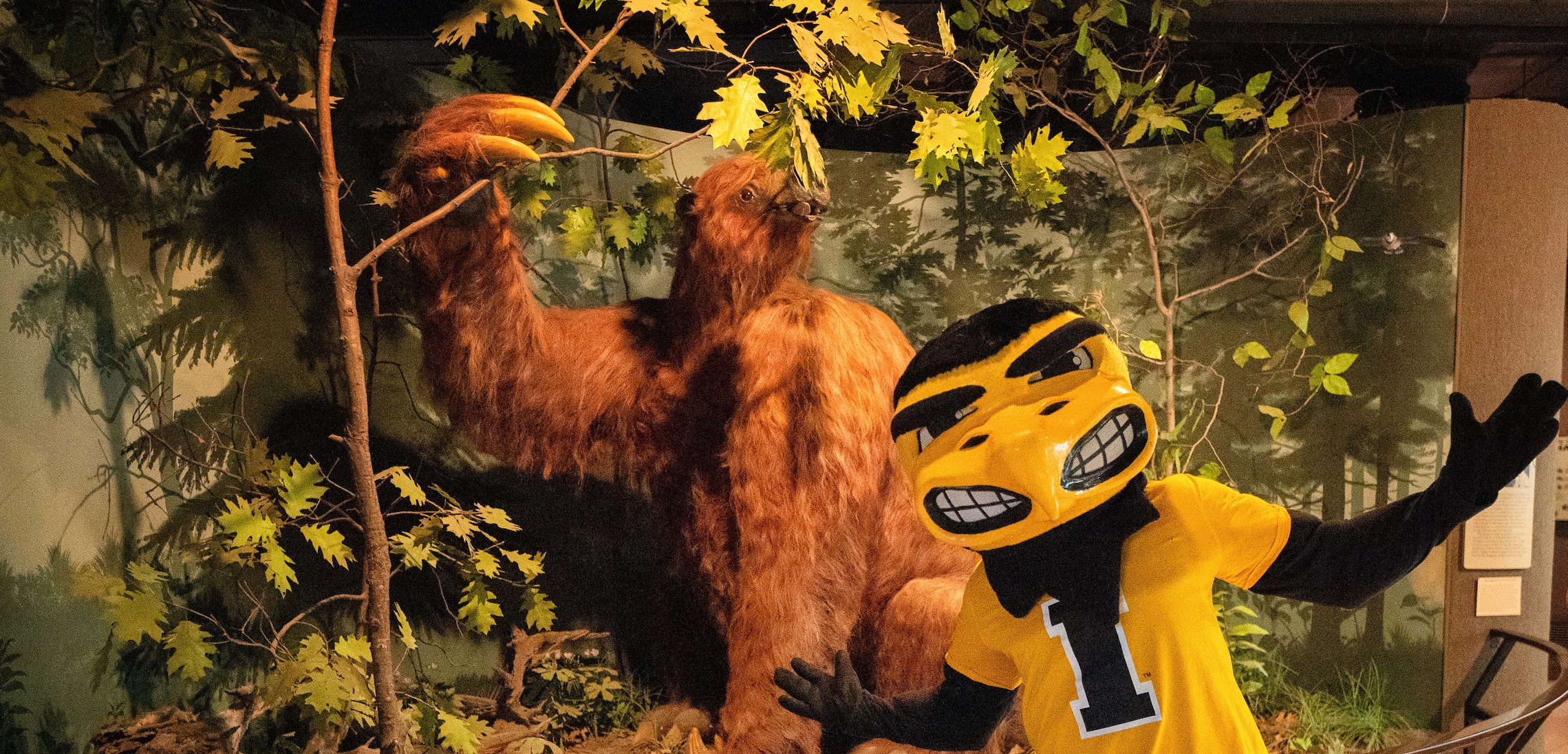 Summer Activities | Cancer Research Opportunities at Iowa - The ... Summer Activities | Cancer Research Opportunities at Iowa - The ...
